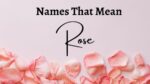 Names That Mean Rose - Little Duniya